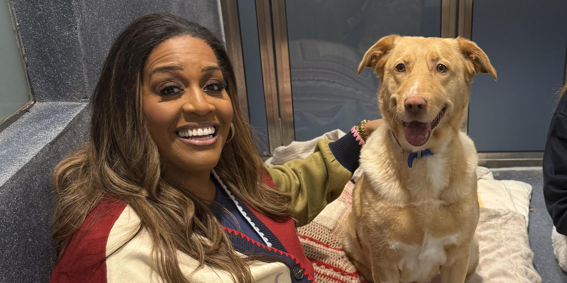 Where is For the Love of Dogs filmed - and can viewers visit?