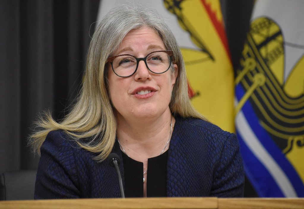 New Brunswick premier says progress made in efforts to improve health ...