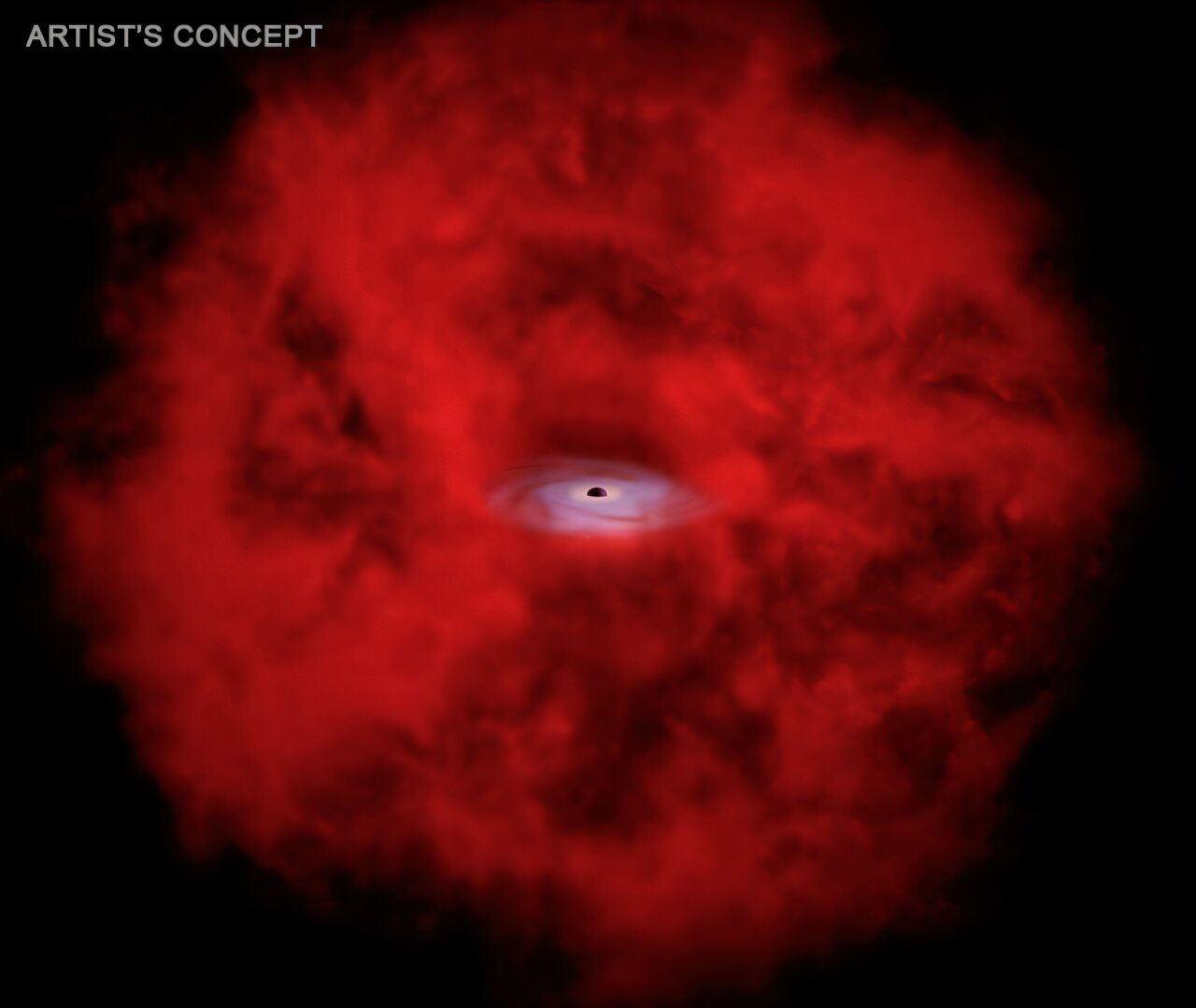 NASA connects little red dots with Chandra and Webb