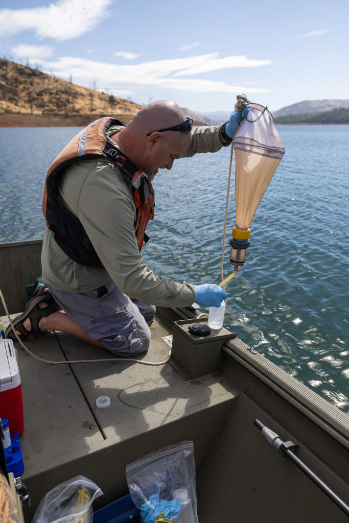 California’s war on mussels escalates as officials urge Gavin Newsom to ...
