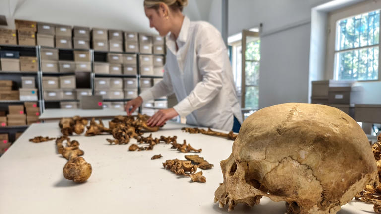 'Lifelong monogamy' and 'half orphans': DNA reveals clues about life on ...