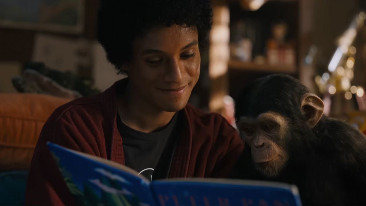 I had no idea what happened to Bubbles after Michael Jackson's rescue ...