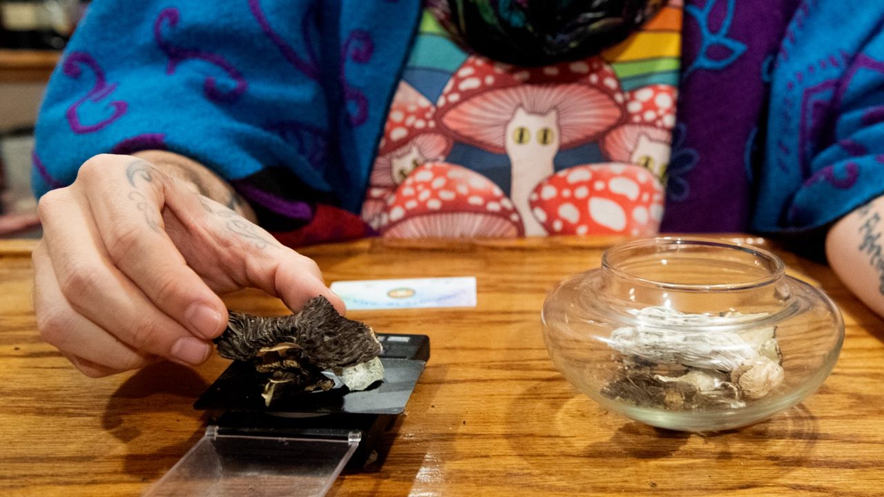 The energy behind these drugs has moved from the beatniks to biohackers