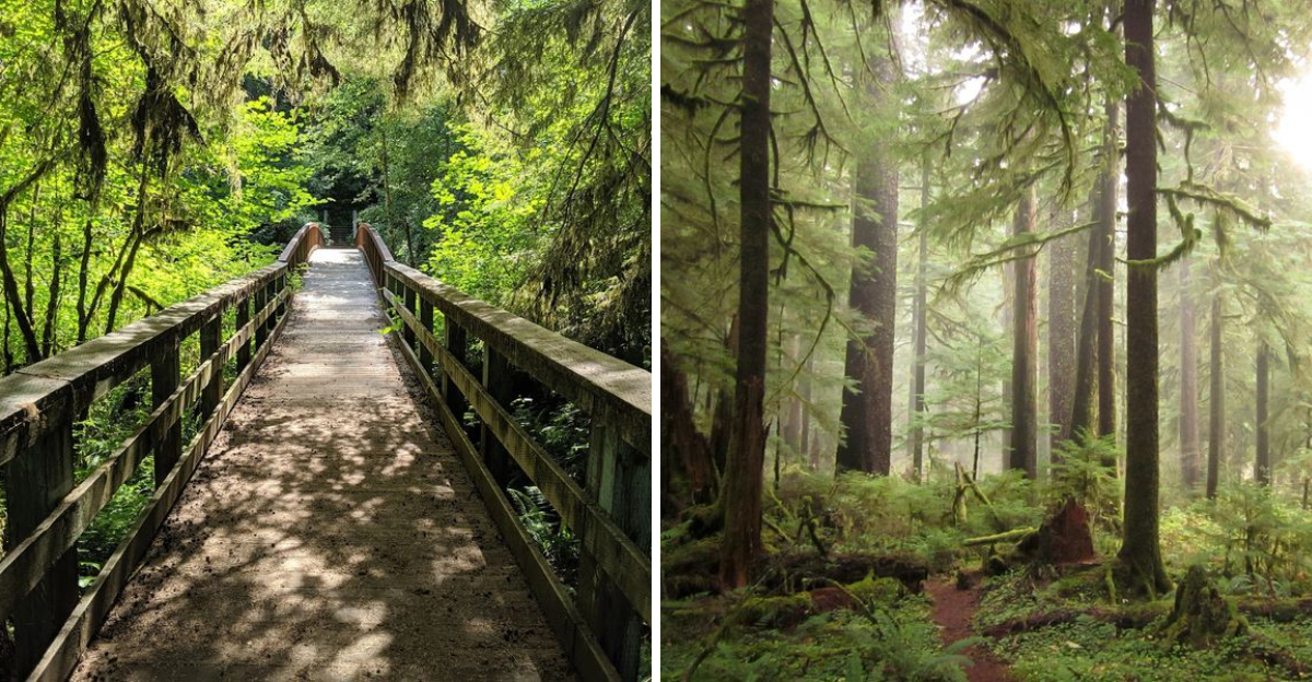 You need a key to walk this Oregon boardwalk and that is exactly why it ...