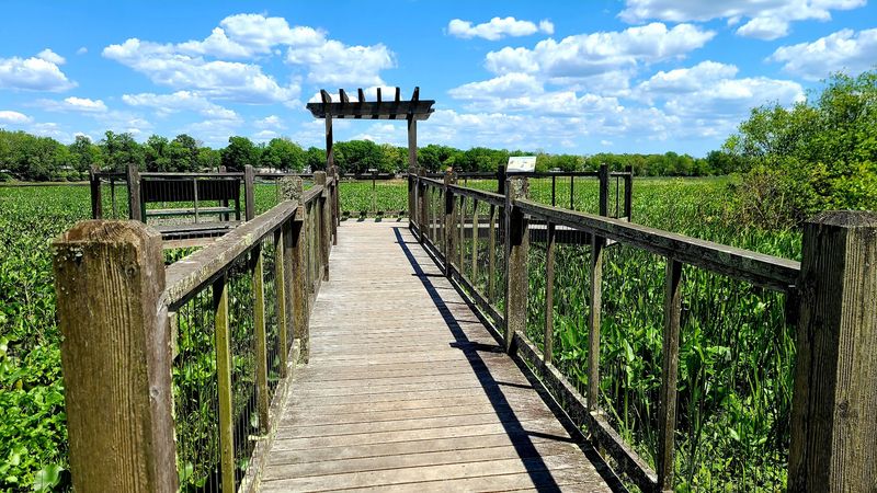 This New Jersey park lets you spot owls and warblers from a bird blind ...