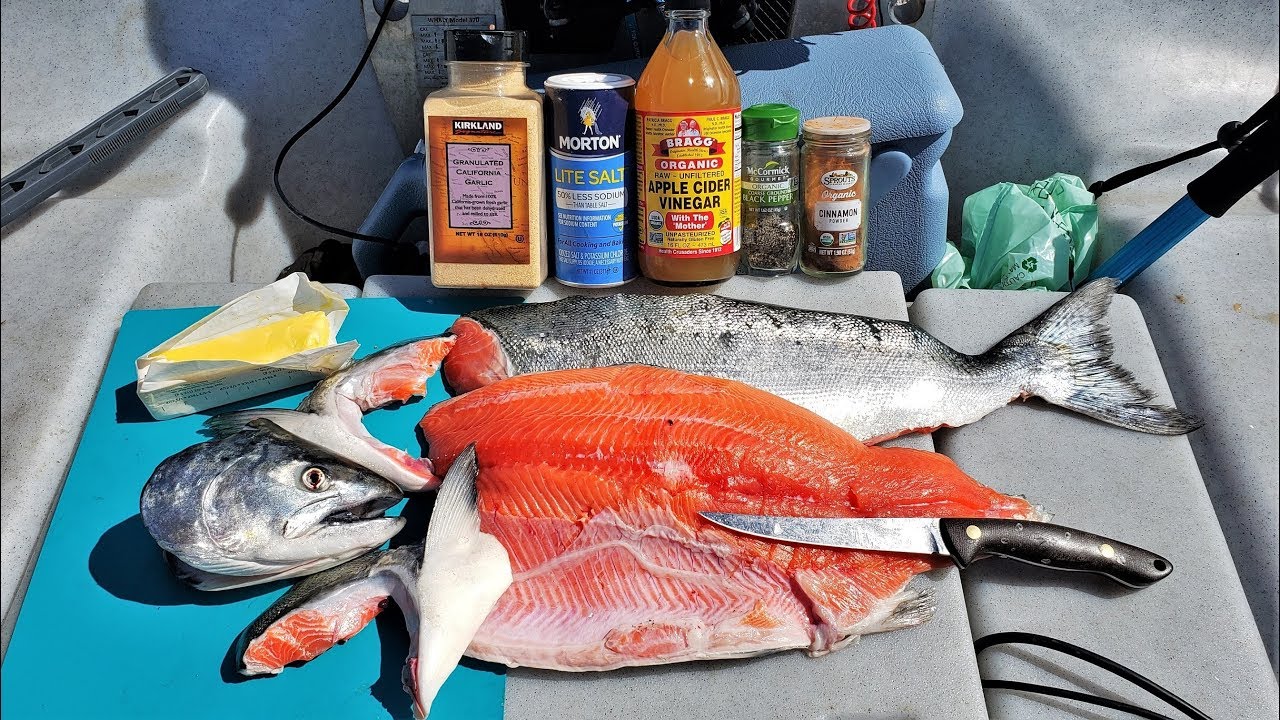Solo catch and cook salmon collars *cinnamon, garlic, vinegar* mouth ...