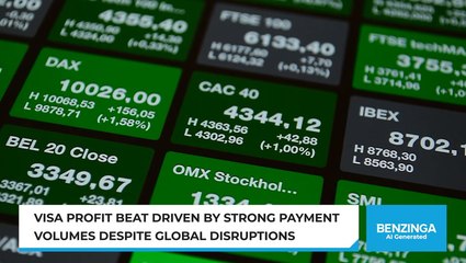 Visa earnings beat
