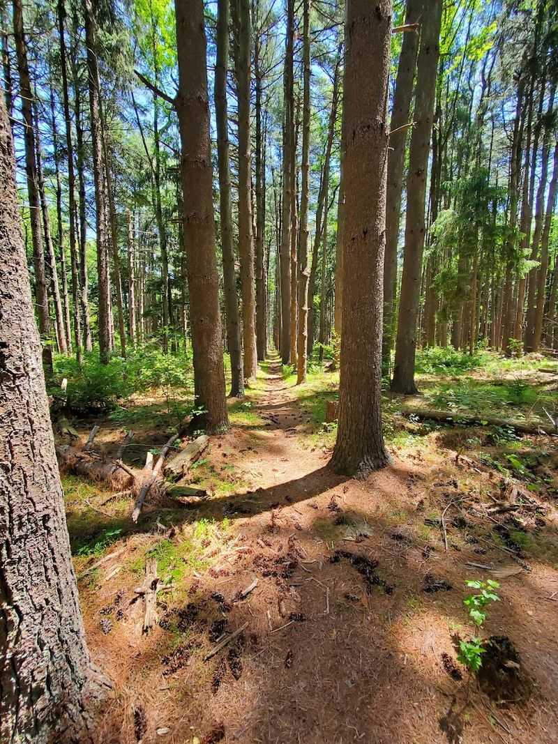 This New Jersey trail follows a winding creek for 3.3 miles and leads ...