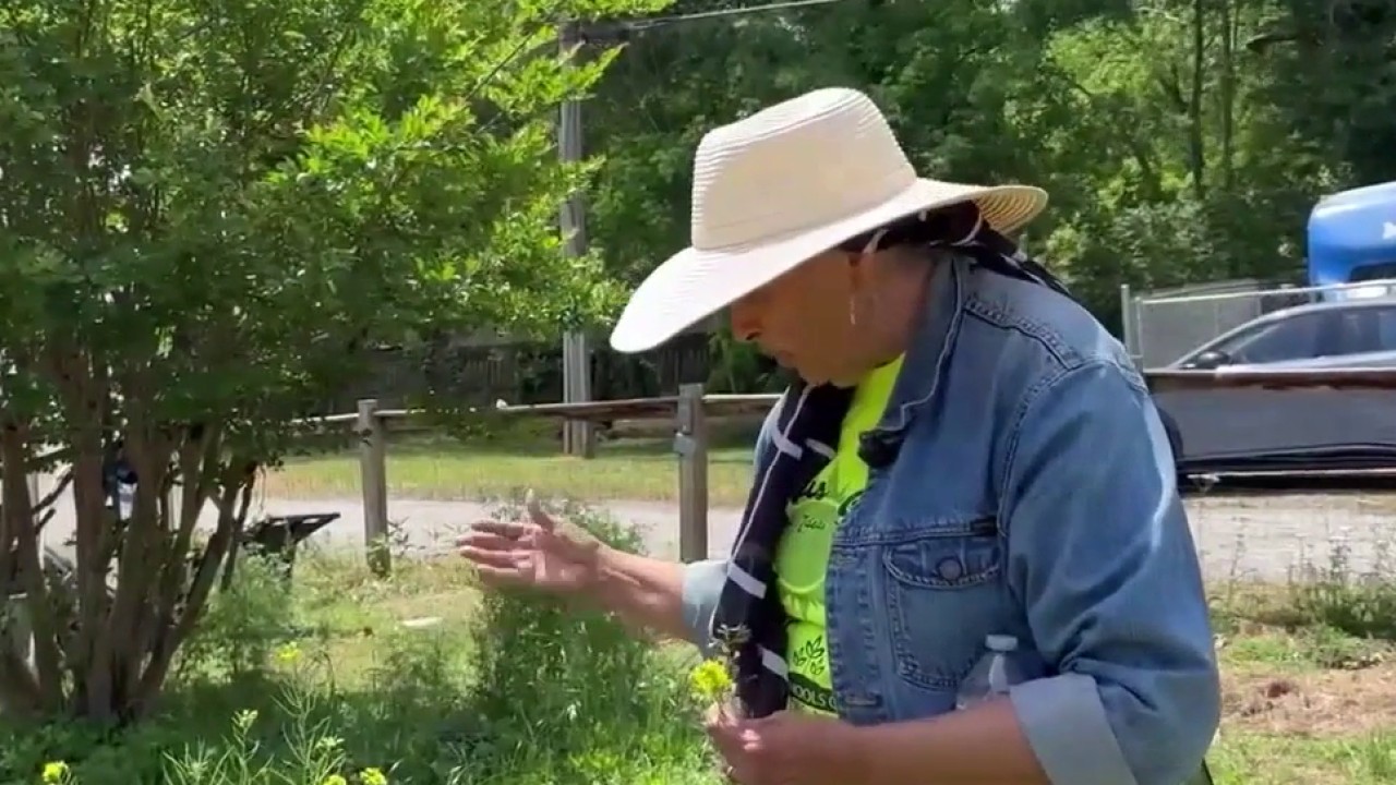 Students grow their own food with community garden