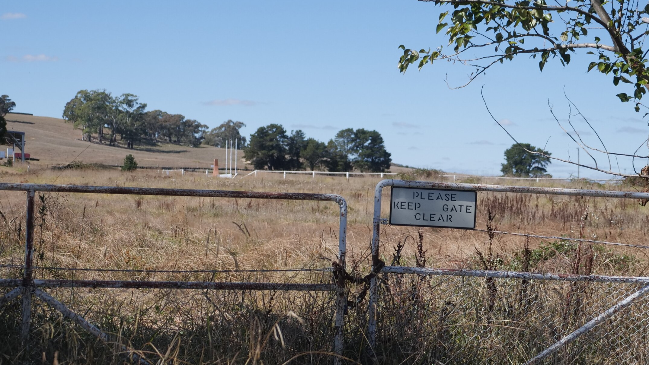 Newly approved Orange greyhound race track may not receive registration