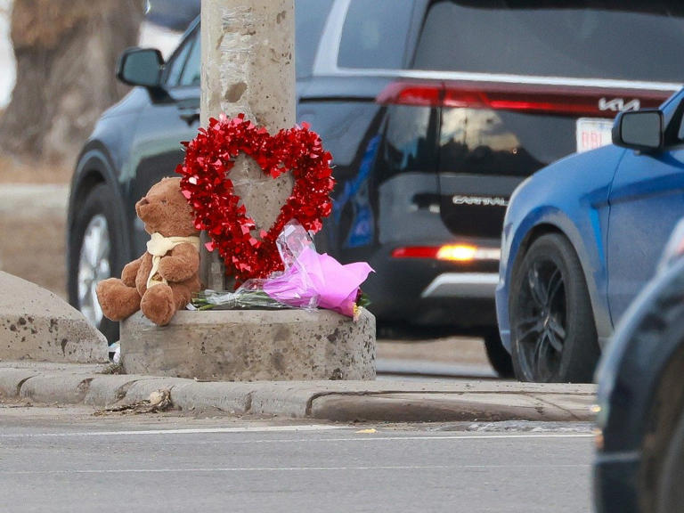 Crown seeks double-digit sentence for motorist who ran red light and ...