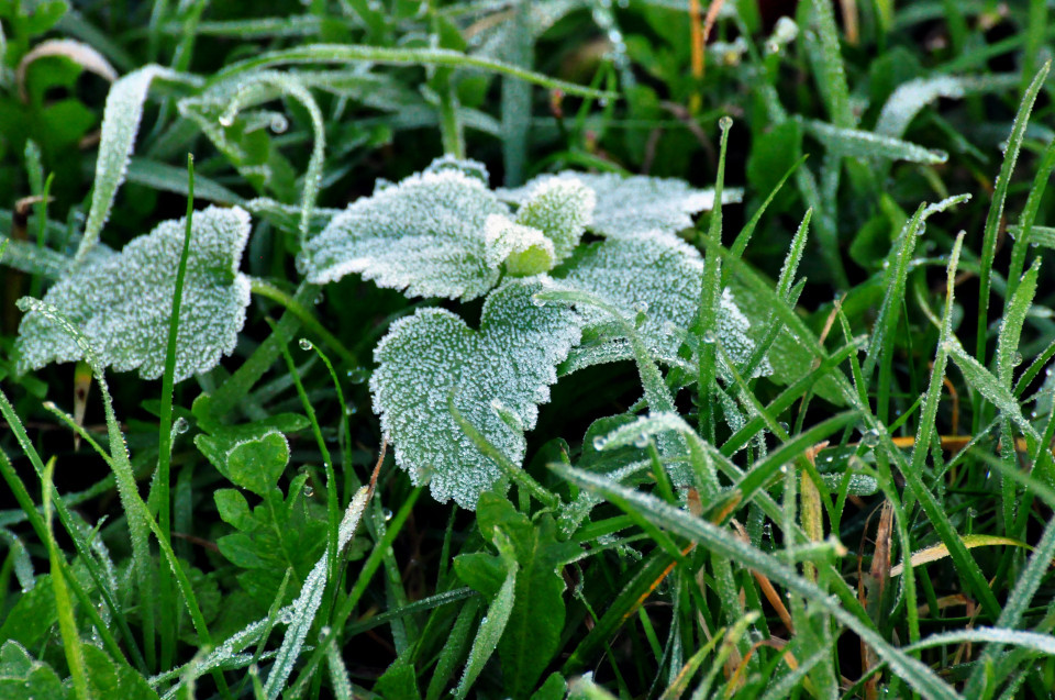 Pogoda na czwartek w Łodzi. Zimno! Prognoza pogody na 30 kwietnia dla ...