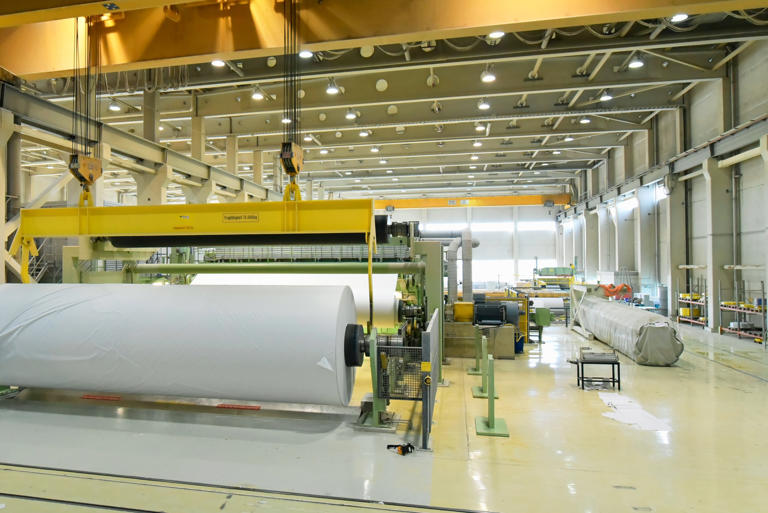 Clearwater Paper plunges after quarterly losses widen; TD Cowen downgrades