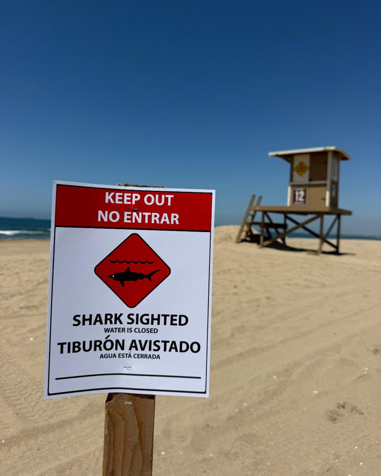 Great white shark near shore prompts 48-hour closure at Sunset Beach