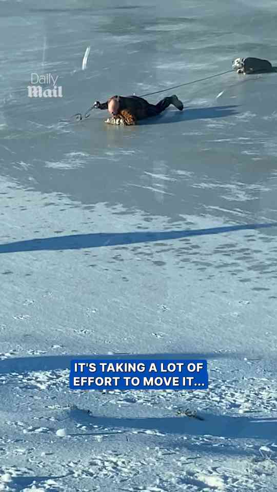 Rancher rescues stranded calf and reunites it with herd