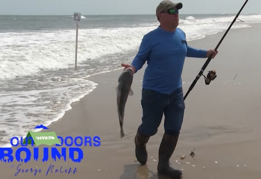 Outdoors Bound episode 9: Big bass, bear hazards, bruisers in the surf ...