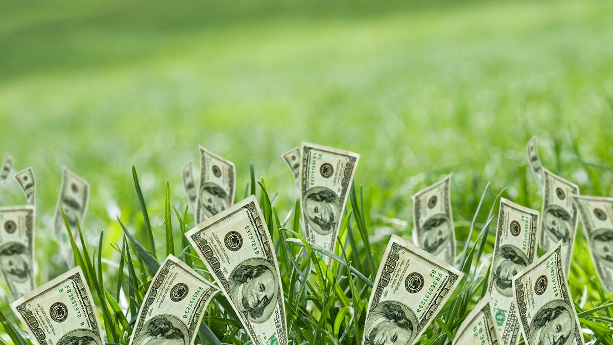 Delorean banks $2.2m investment as bioenergy expansion builds momentum