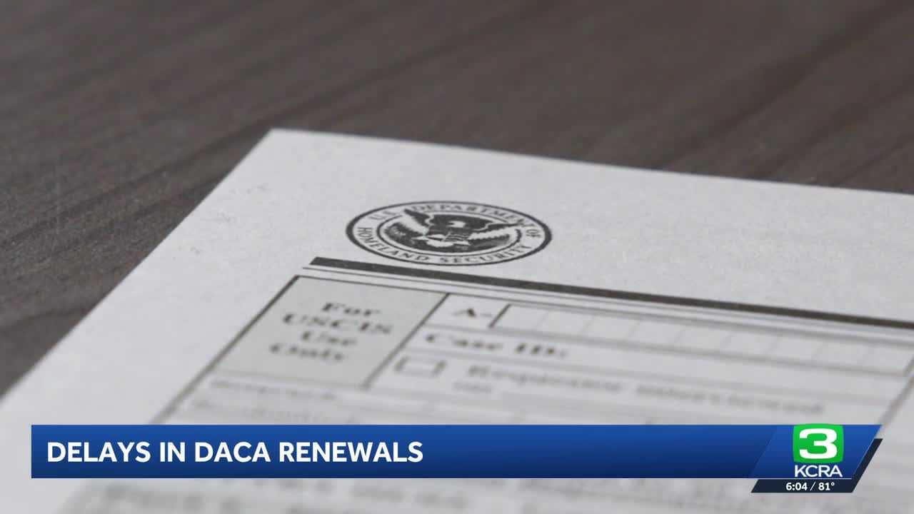 DACA renewal delays leave California recipients facing job loss and ...