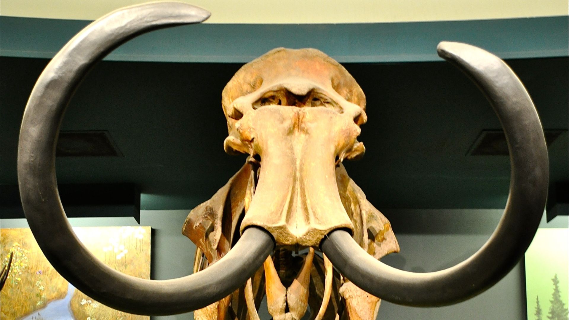 10 extinct animals our ancestors saw & 10 that vanished before our time