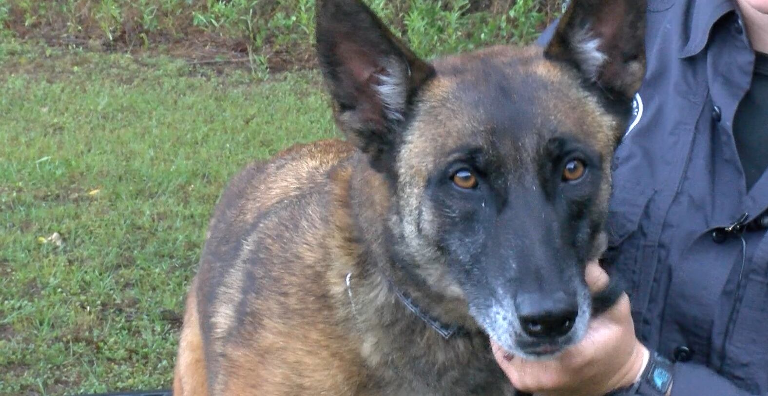 Montgomery Police Department makes history with first female K-9 ...