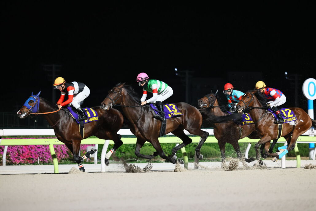 【羽田盃】断然人気ロックターミガン敗れる…レース後ジョッキーコメント