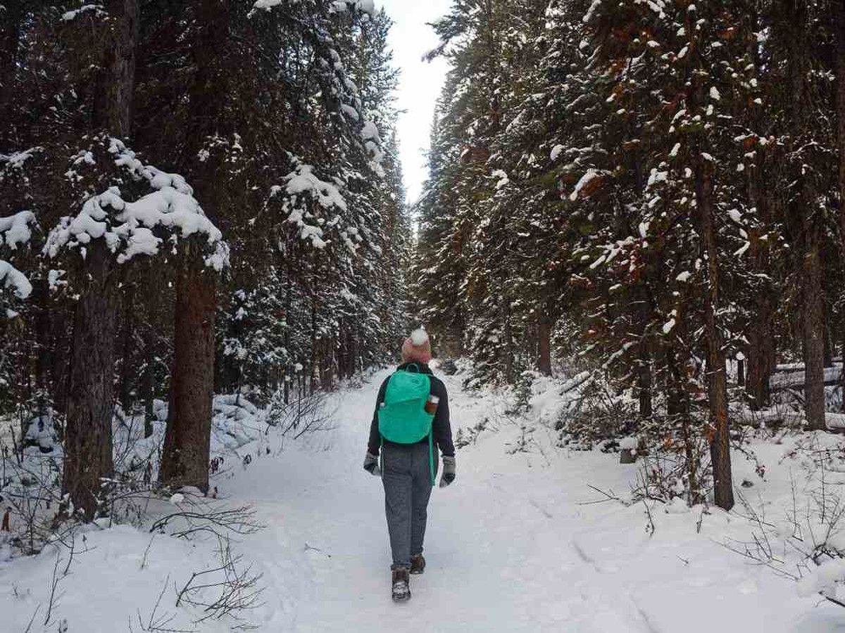 Rescues prompt hazard warning about early season hiking in Banff ...