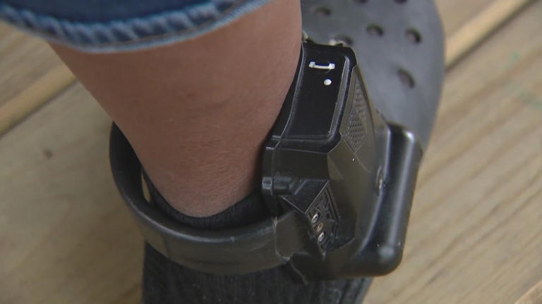 Calls for Safe-T Act changes grow after Chicago police officer’s deadly ...