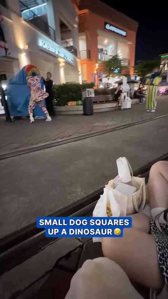 Dog playfully confronts dinosaur costume in backyard moment