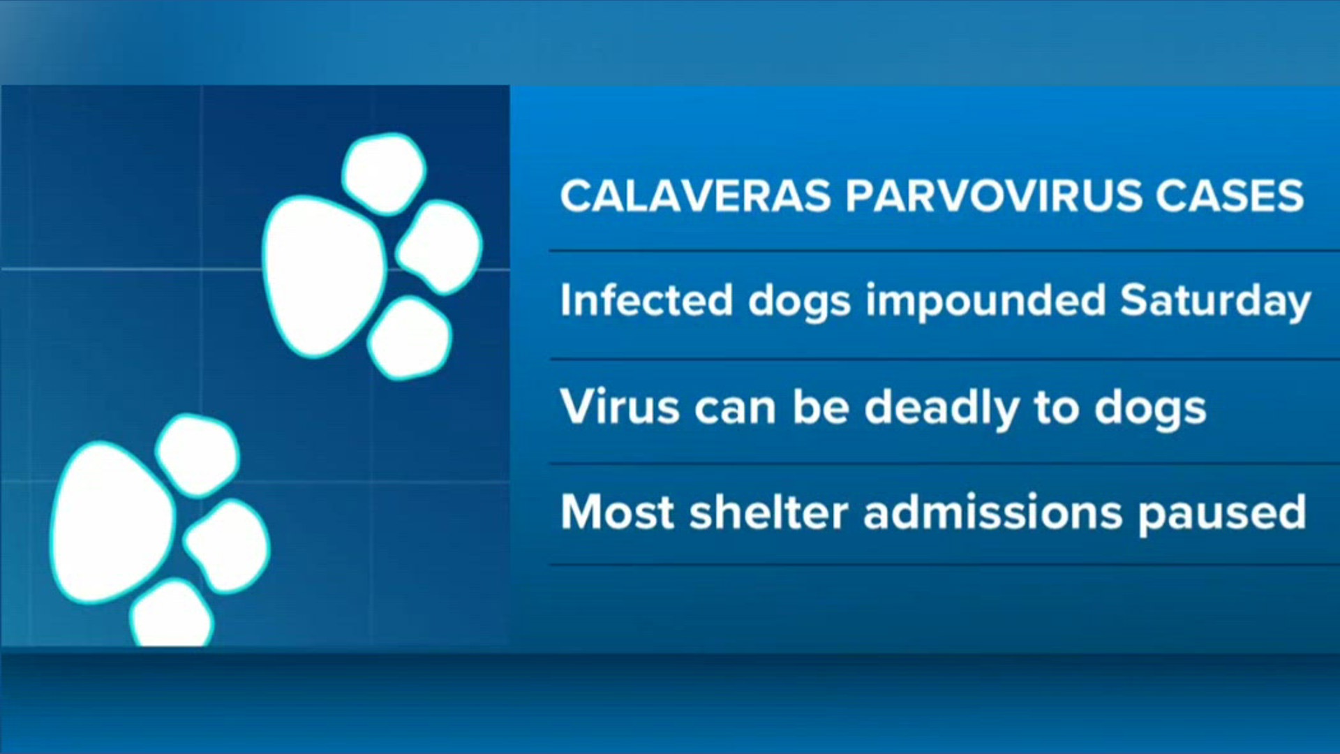 Calaveras County shelter halts dog intake after parvo cases