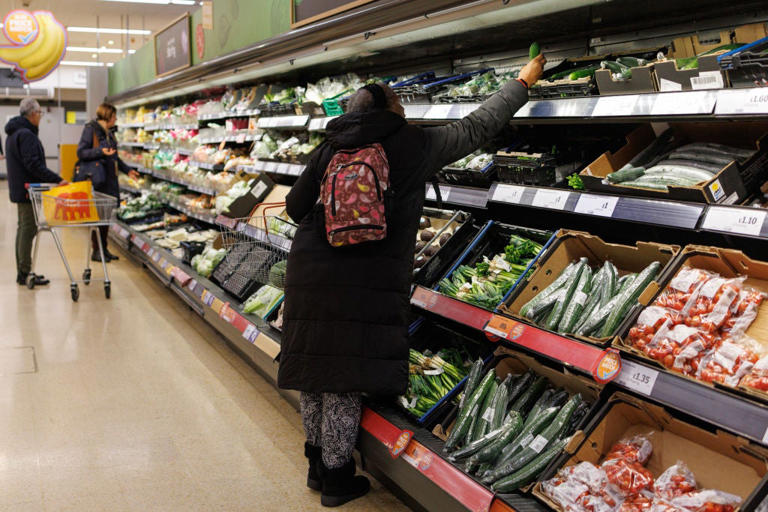 World food system could collapse without urgent action, experts warn