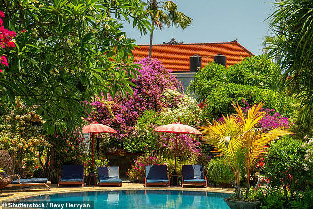 I'm 59 and moved to Bali with almost nothing: Here's why you should too