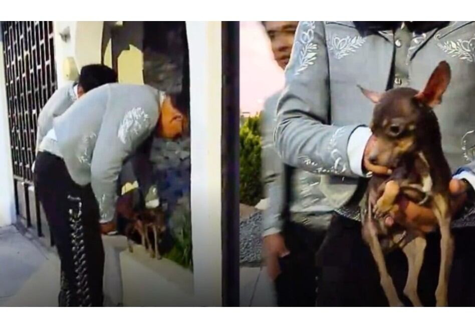 Mariachis fueron a tocar a una casa y terminaron rescatando a un ...