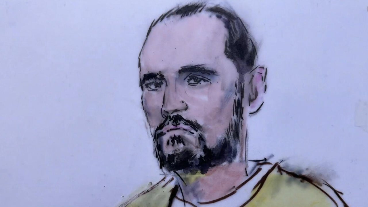Nick Reiner appears in court weeks after pleading not guilty to killing ...