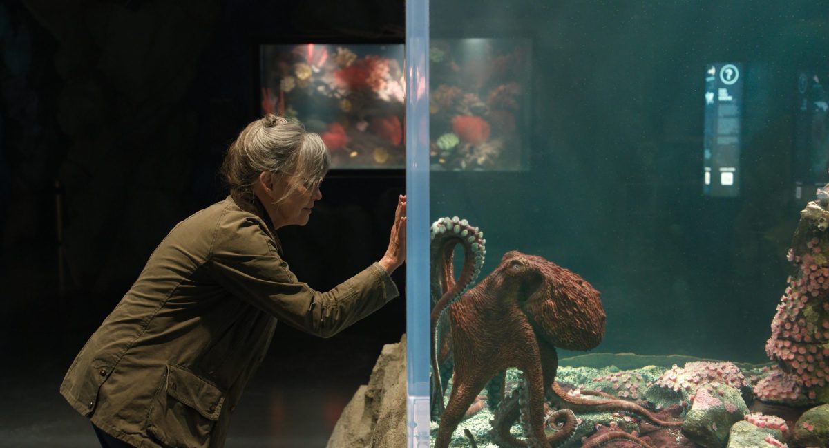 Netflix: Best new shows & films streaming this week