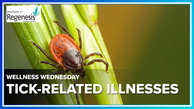 Wellness Wednesday | Tick-borne illnesses: How to protect yourself this ...