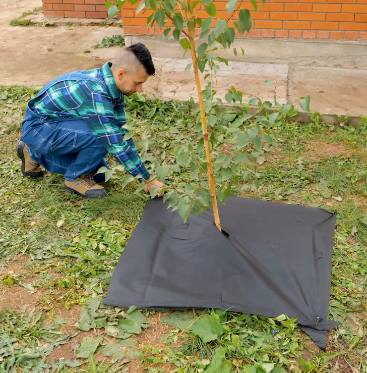 Gardening hacks for the busy bee