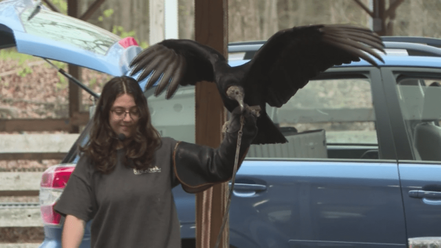 Local students compete in science-based competition