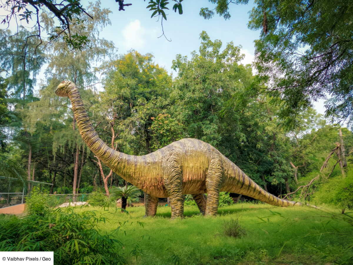 Des chercheurs découvrent un fossile de titanosaure au Maroc, très ...