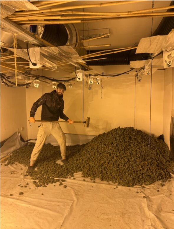 Albanian gangsters laugh and pose with £1m cannabis haul grown in UK town