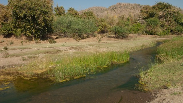 Ancient 50-foot snake found in India may rank among the largest ever ...