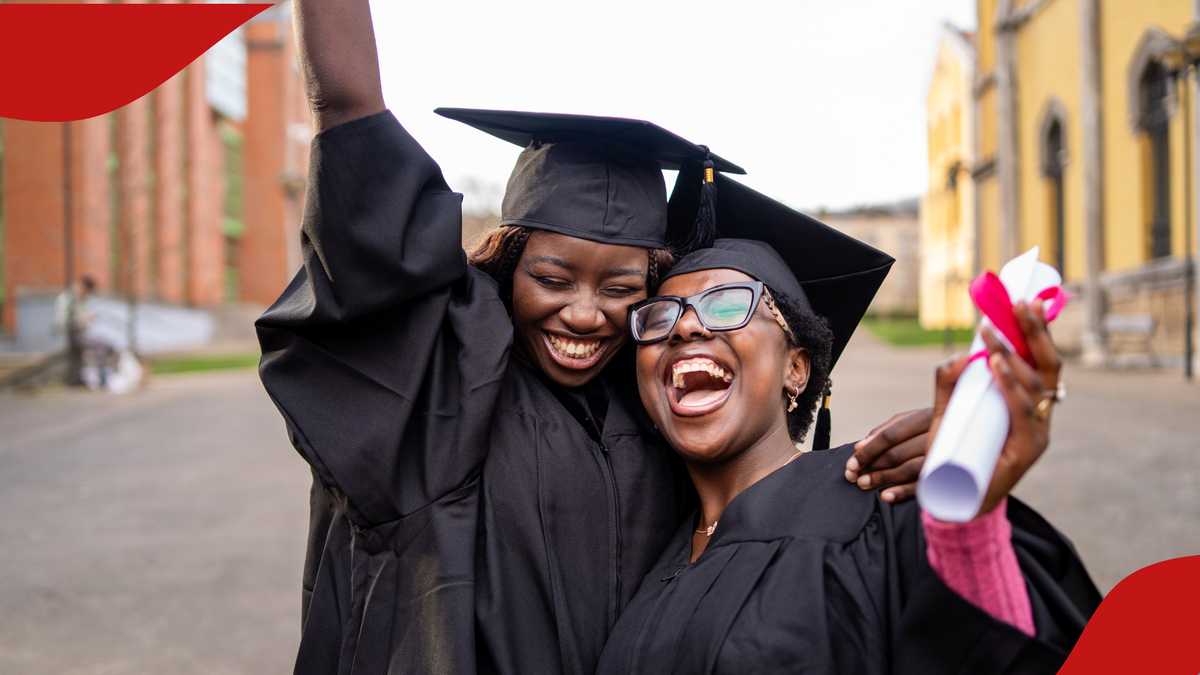Netherlands announces fully-funded scholarships for Kenyans, offers KSh ...