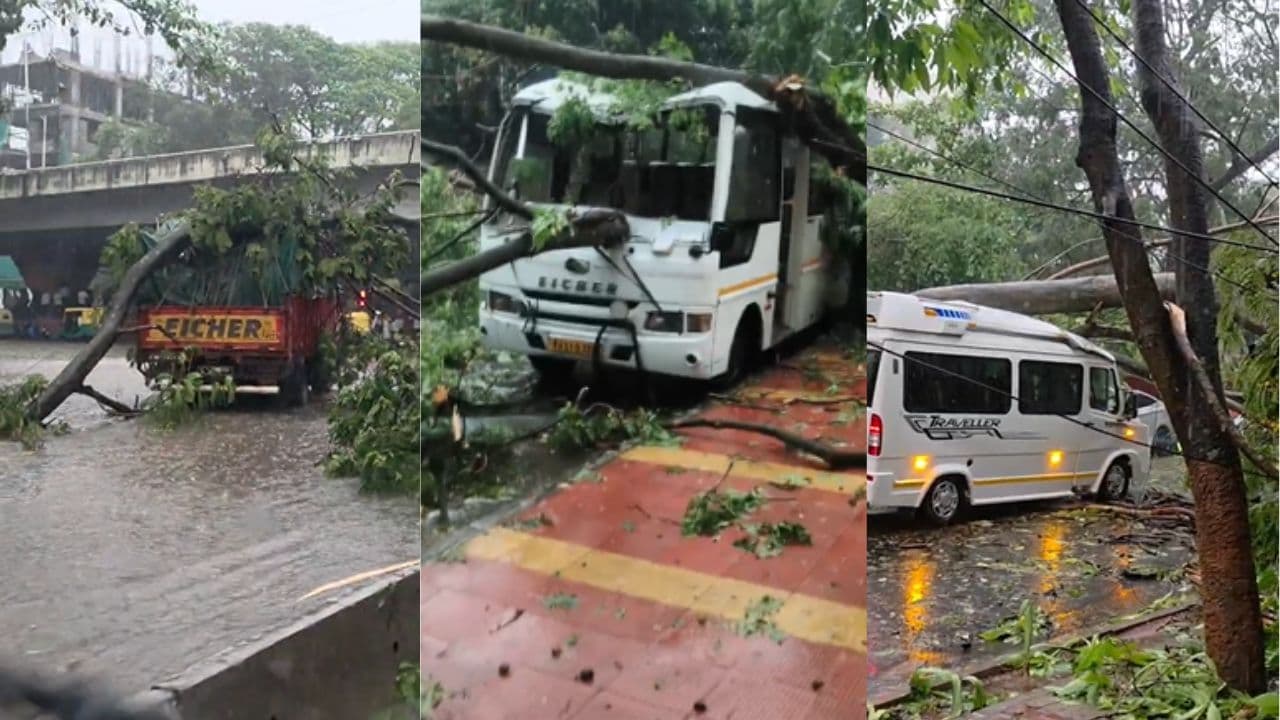 Heavy rains lash Bengaluru: 170 trees uprooted, roads flooded across city