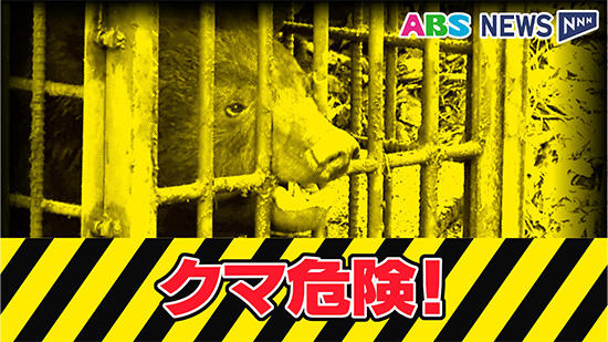 秋田市新屋船場町の市道にクマ 体長は約1メートル 警察が注意を呼びかけ 28日 秋田