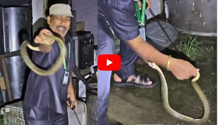 Snake video: పామును రక్షించబోతే ప్రాణం మీదికి.. షాకింగ్ వీడియో వైరల్!