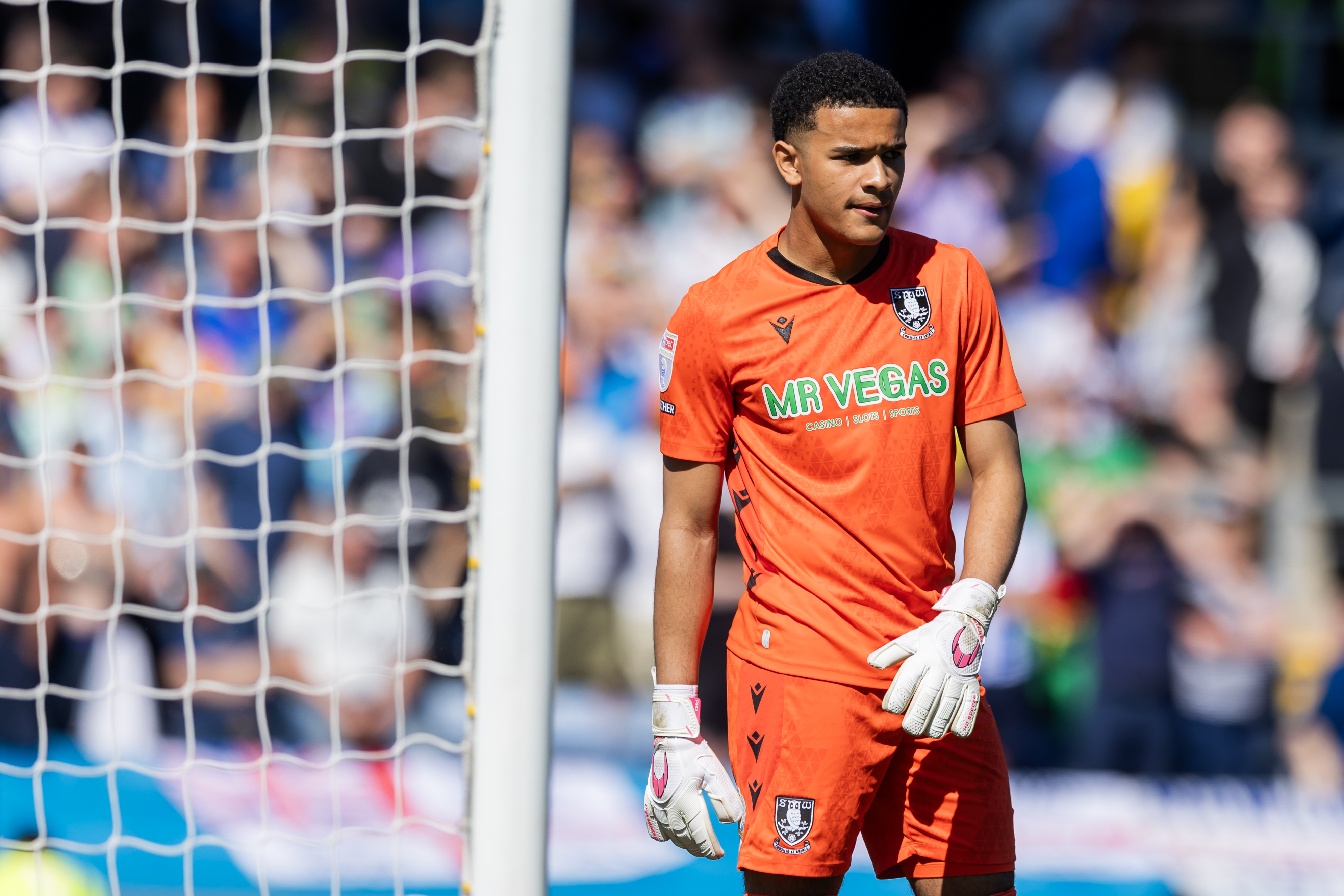 Sheffield Wednesday legend makes Pierce Charles valuation prediction ...