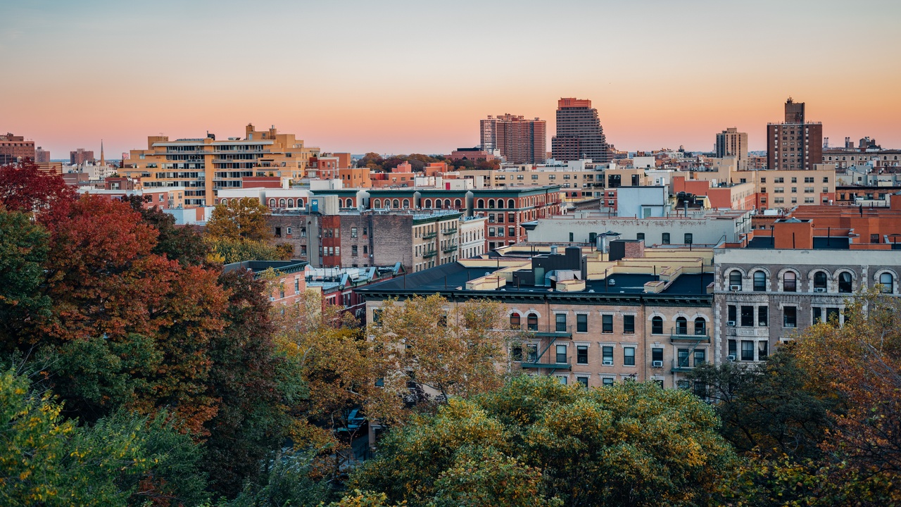 Harlem gave America jazz, the Harlem Renaissance, and a plate of ...