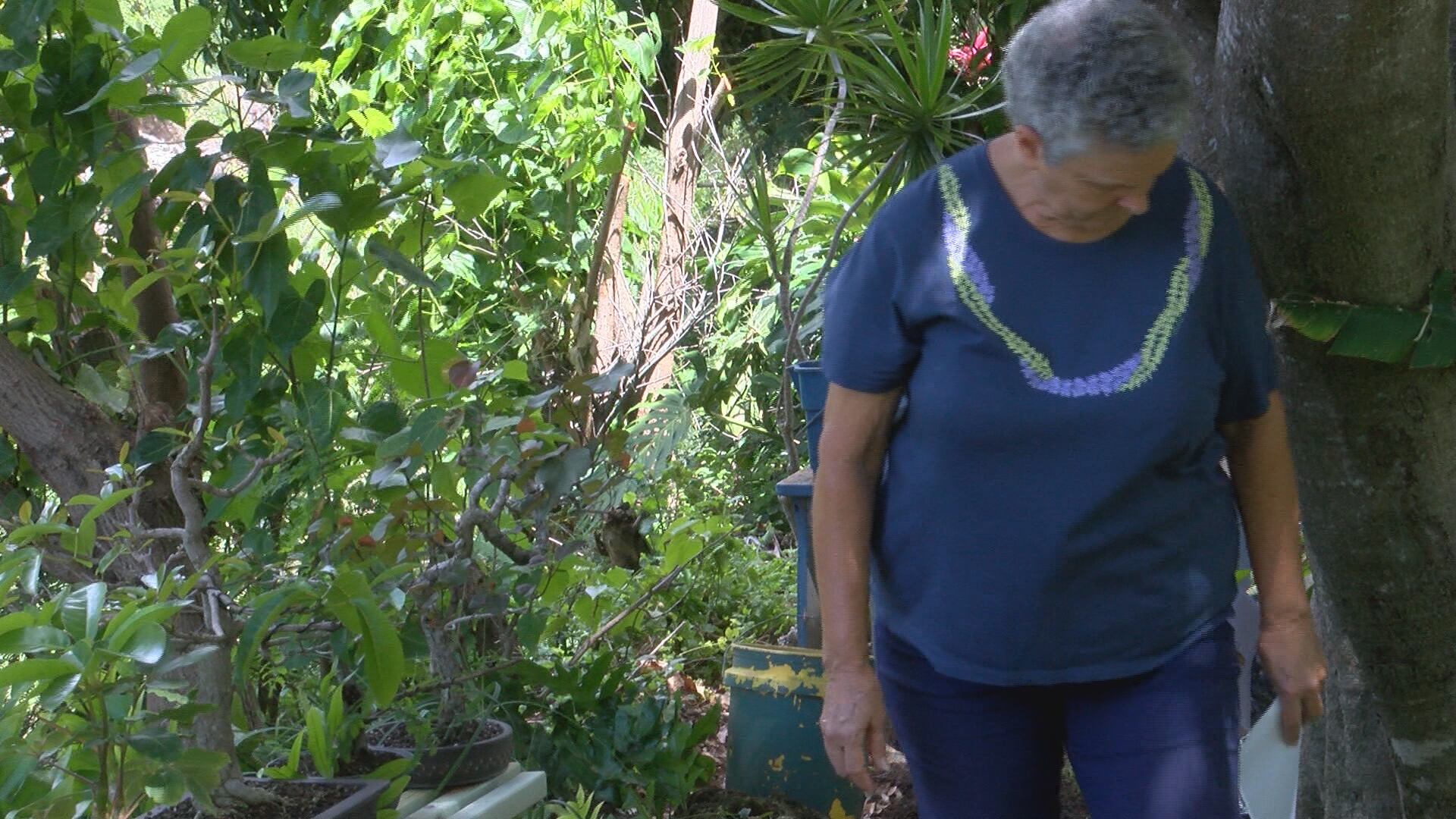 East Oahu residents urge neighbors to test homes amid 'concerning' fire ...