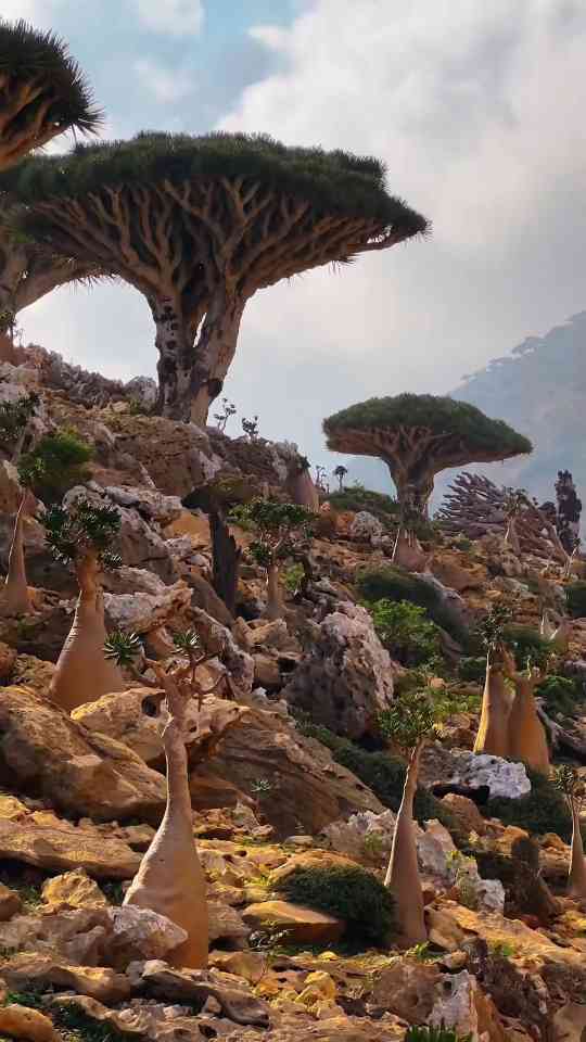 You have to see it—the ‘otherworldly’ moment everyone’s talking about