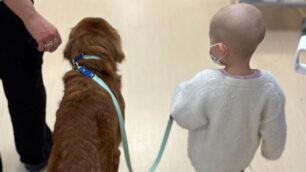 Pet therapy al Paese Ritrovato: a Monza il progetto pilota con gli ...