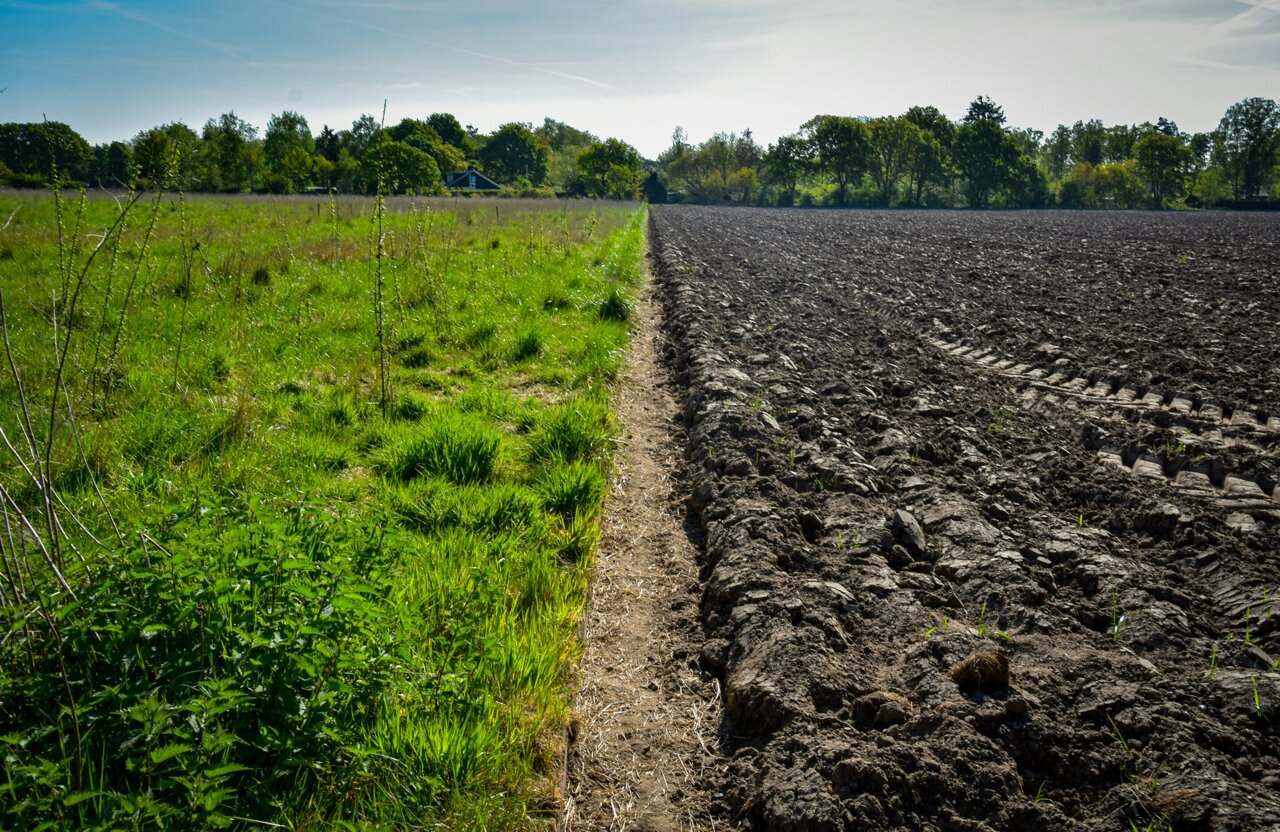 Buried in soil, a 100-million-year-old bacterial toxin could reshape ...